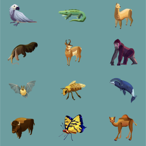 Animals In Order